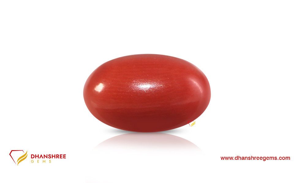 Buy Red Coral (Moonga) Stones | Check Moonga Prices & Benefits | Dhanshree Gems